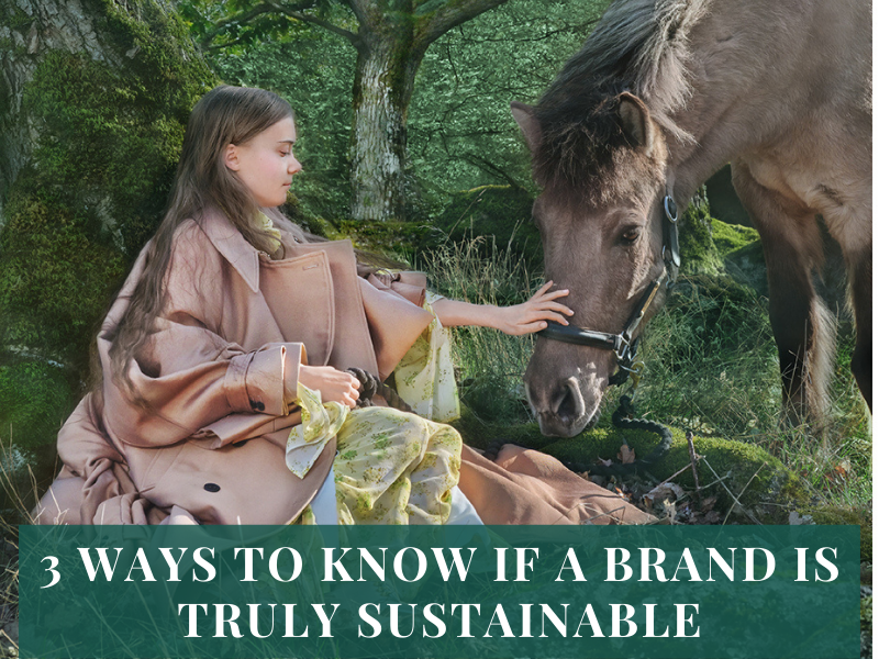 3 Ways to Avoid Greenwashing and know if a Brand is Truly Sustainable ...